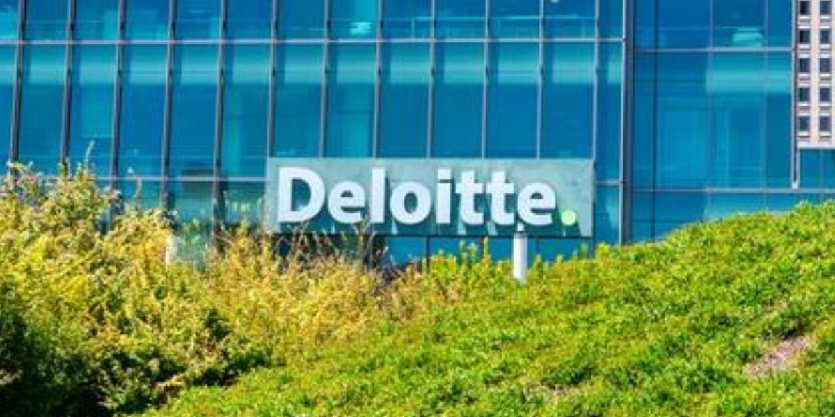 Deloitte is offering job opportunity as Business Technology Analyst - B ...