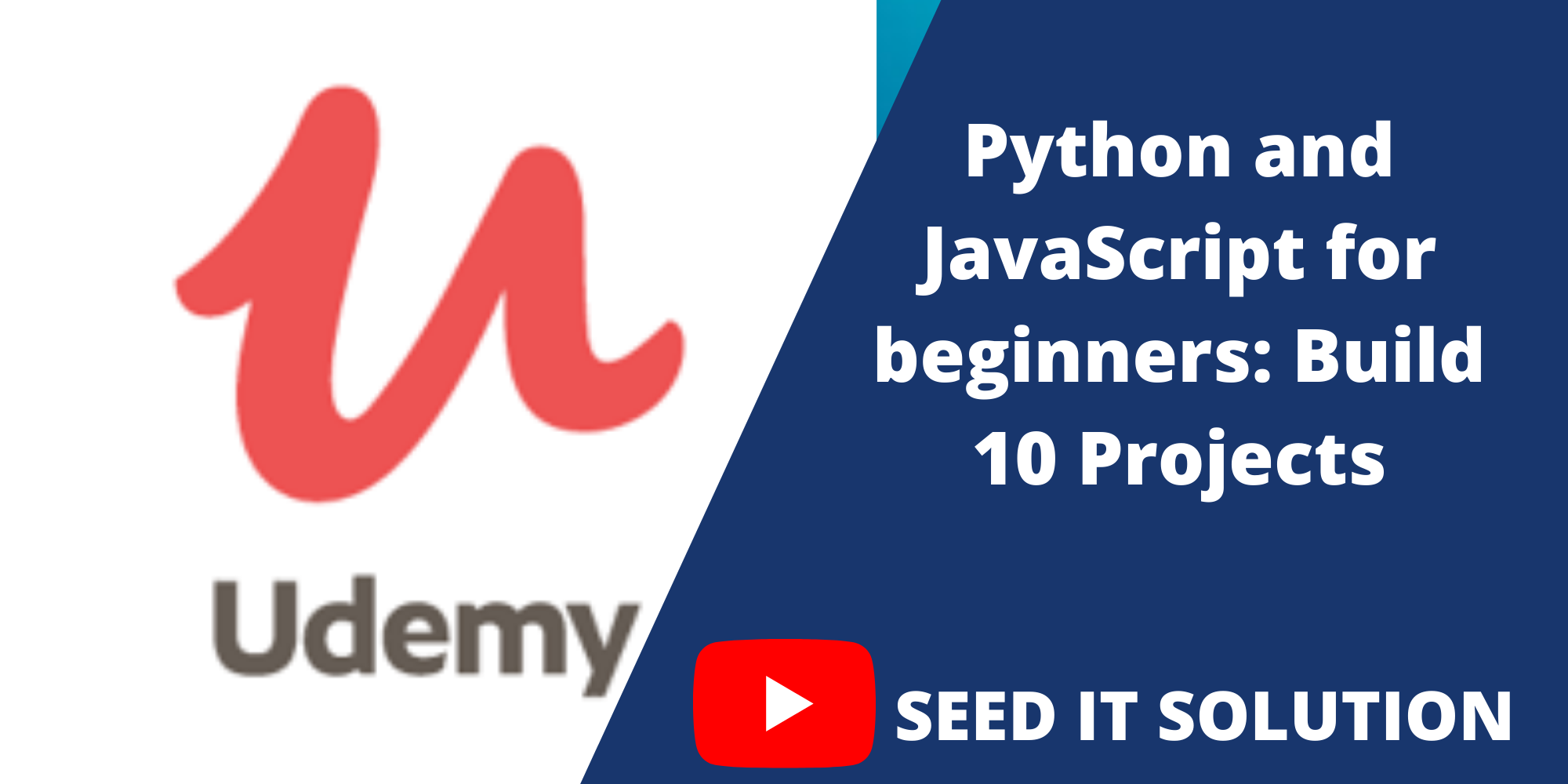 Python And JavaScript For Beginners Build 10 Projects Learn To Code