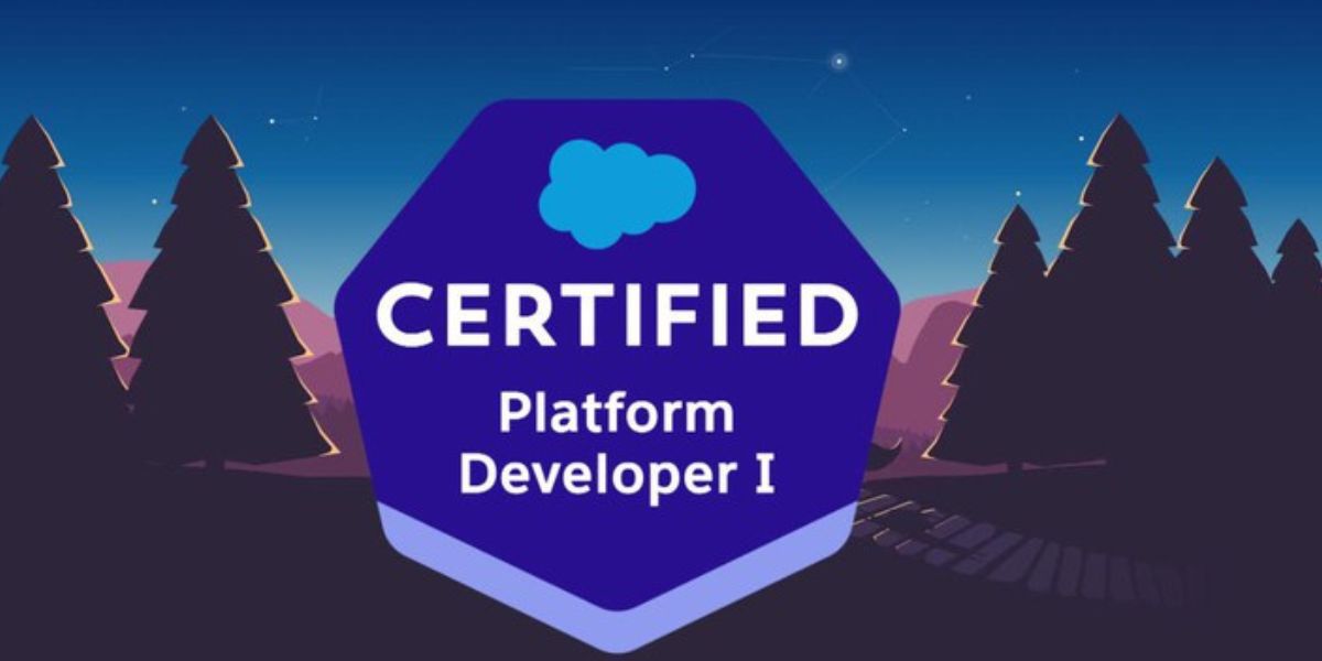 Salesforce Platform Developer 1 Practice Tests Free Course Coupon